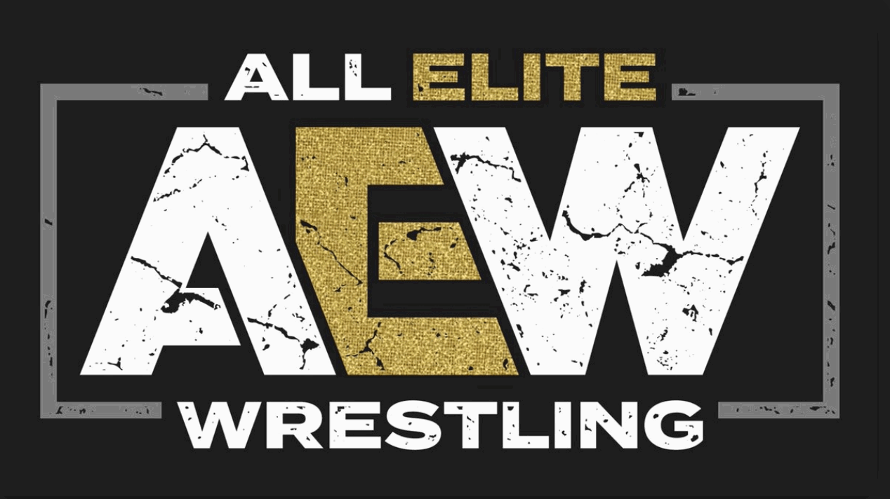 The Best Matches From All Elite Wrestling’s First Year | The Outerhaven