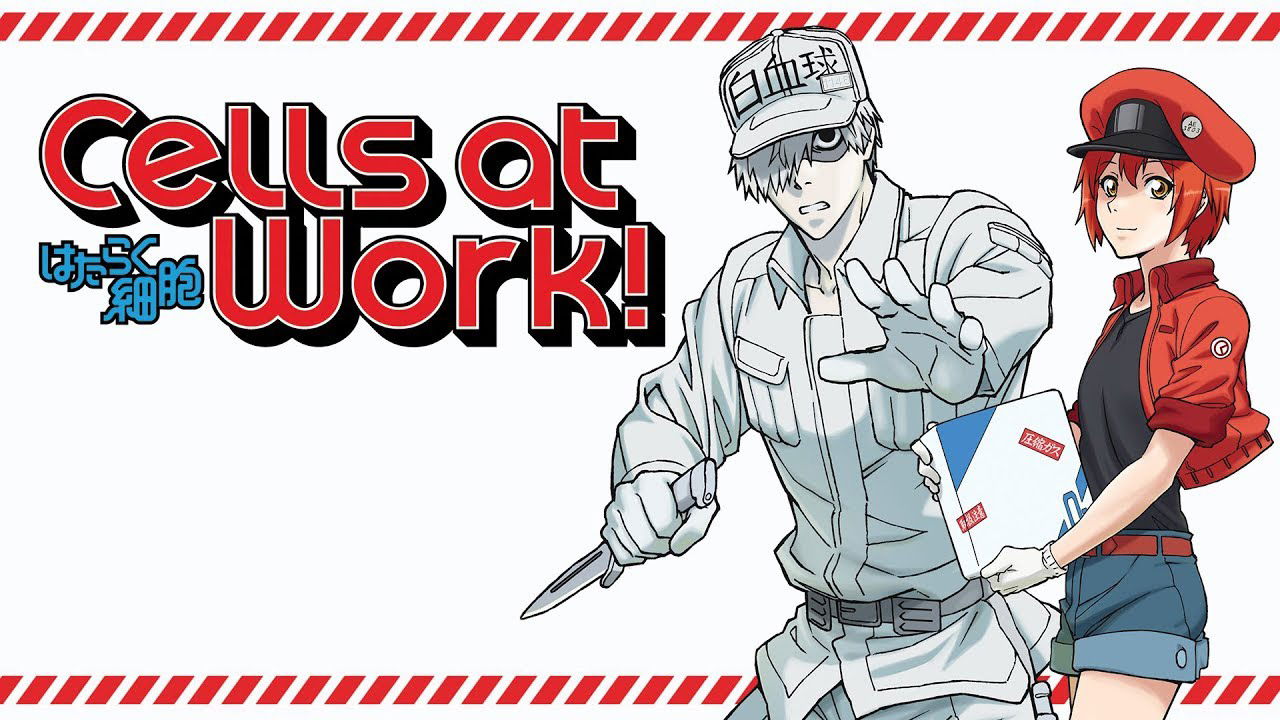 Funimation Announces English Dub for Cells at Work!! Season 2