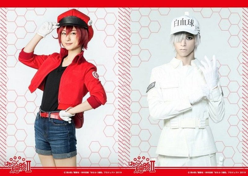 Cells at Work! Live-Action Movie Receives Trailer and Release Date