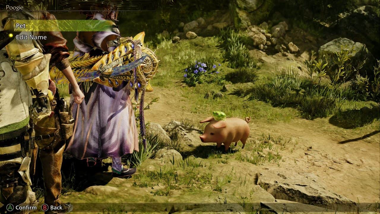 Monster Hunter Wilds: Where to Find and Pet Poogie | The Outerhaven