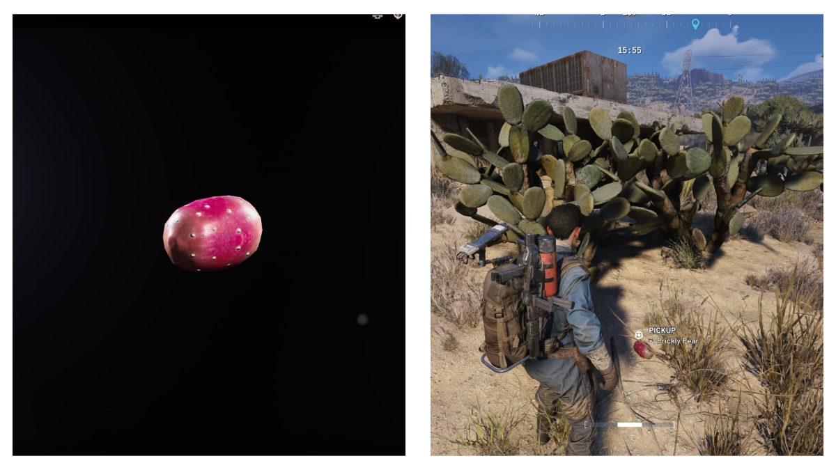 Where To Find Prickly Pears In Arc Raiders | The Outerhaven