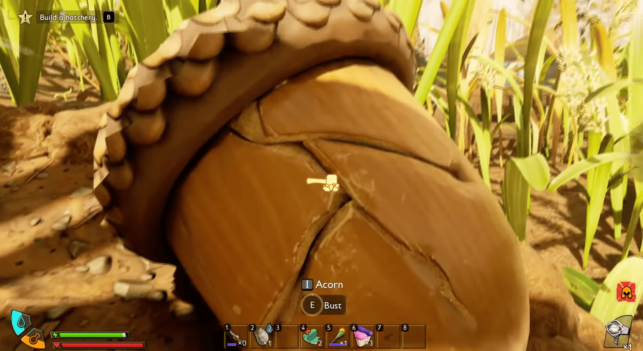 How to Find Acorns in Grounded 2 | The Outerhaven